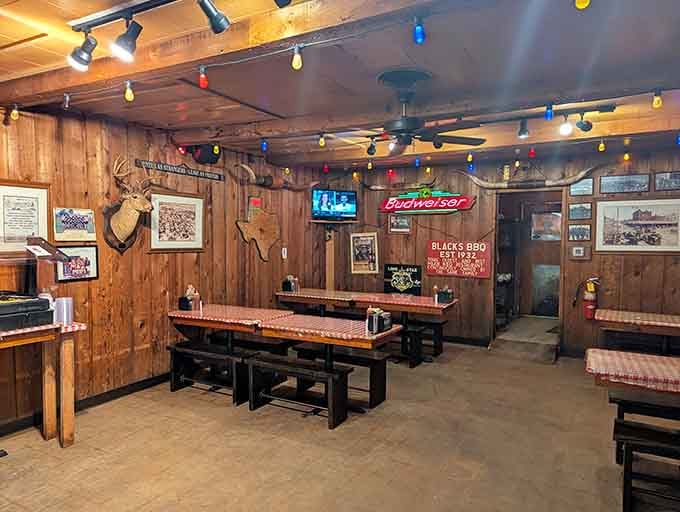 Wood-paneled walls, colorful string lights, and a mounted deer head. This room didn't try to be charming. It just is.