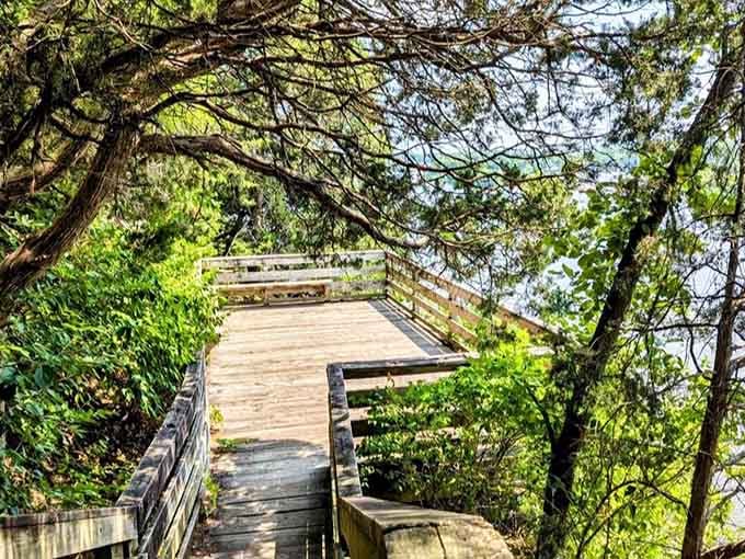 This wooden overlook proves that the best seats in Illinois don't require reservations or uncomfortable dress shoes.