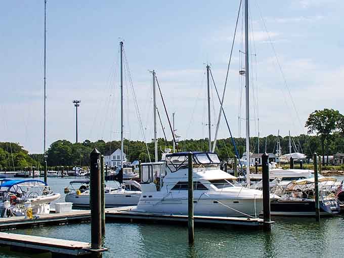 Cape Charles Harbor sits quietly, masts pointing skyward, as if the boats themselves are raising their hands to volunteer for your next adventure.
