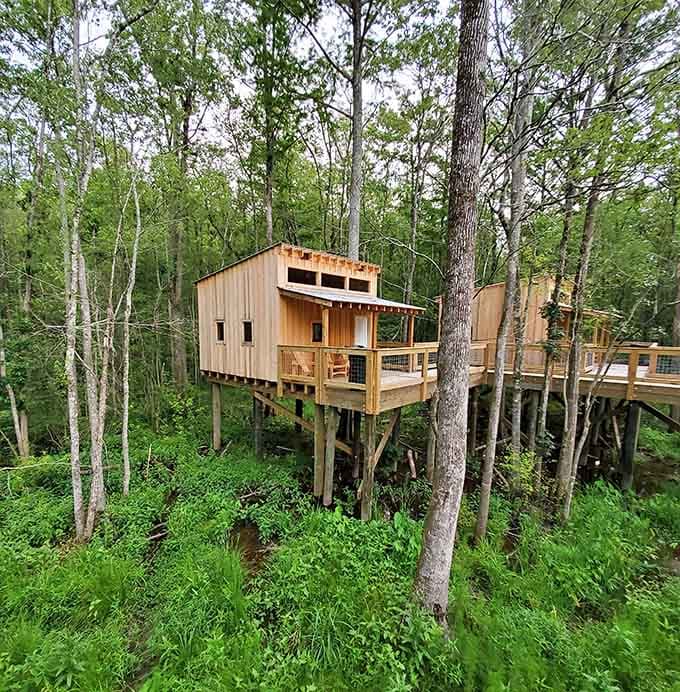 This isn't your childhood plywood-and-nails situation; these treehouses mean serious business about comfort and views.
