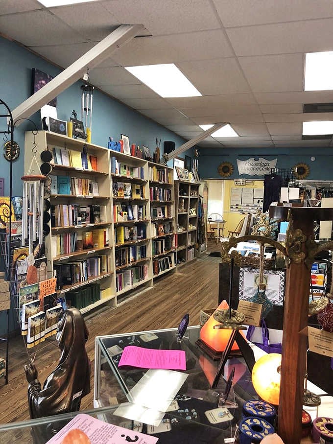 Floor-to-ceiling shelves packed with wisdom, wonder, and answers you didn't know you were looking for.