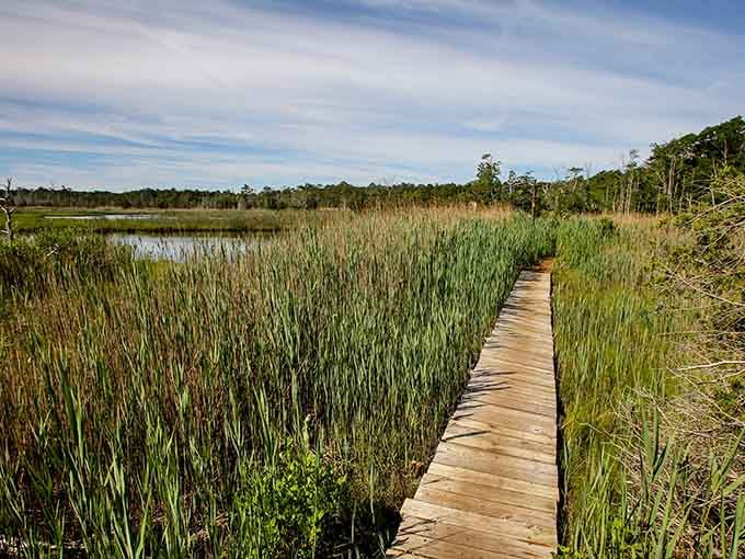 This boardwalk through the marshes proves New Jersey can do subtle beauty when it wants to show off.