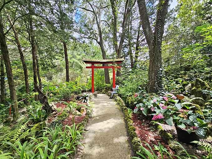 A red torii gate standing quietly in a Florida forest. Nobody warned you, and that's perfect.