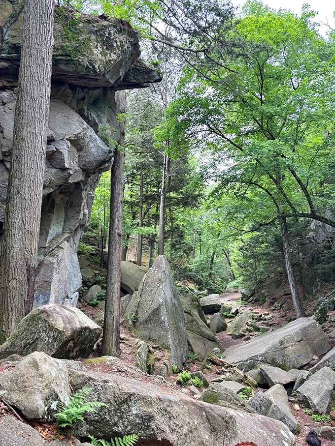 Rocky, rugged, and completely unapologetic about it. This trail means serious business from step one.