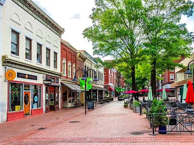 Tree-lined and unhurried, Charlottesville's Downtown Mall is the kind of street that makes you forget you ever owned a watch.