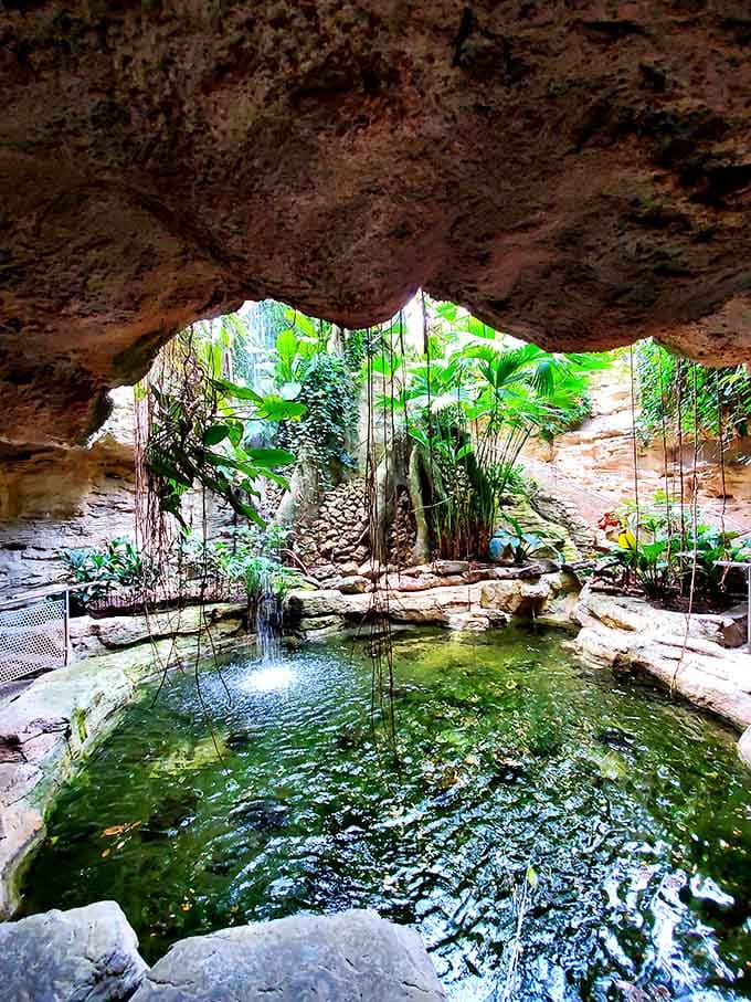 Step into this limestone grotto and suddenly you're in Jurassic Park, except the only things emerging are butterflies and profound peace.