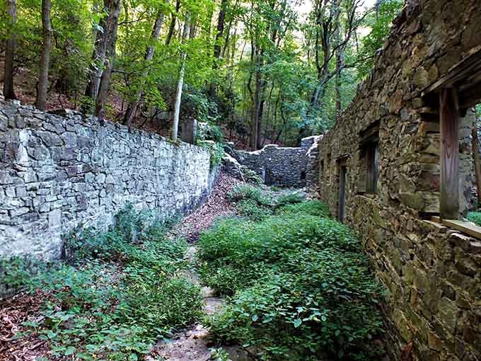 Two stone walls facing off across a green corridor, like old friends who never stopped talking.