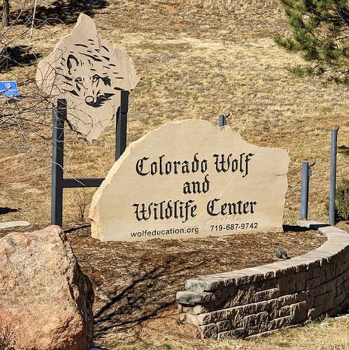The entrance sign that promises an adventure your suburban dog park could never compete with, honestly.