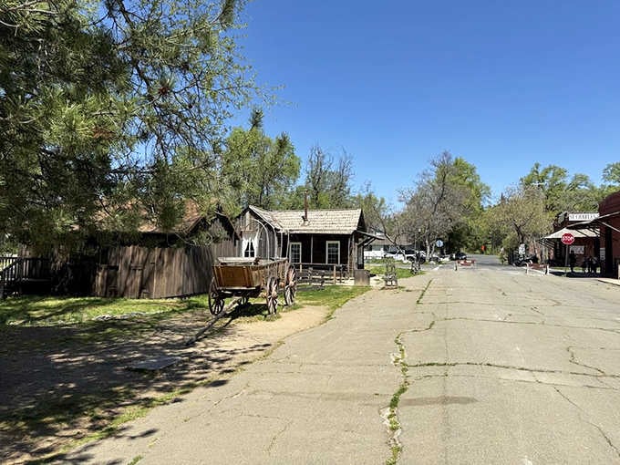 Wooden wagons, dirt roads, and zero Wi-Fi notifications. This is the California detox you didn't know you needed.