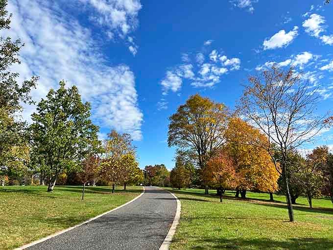 These tree-lined paths practically beg you to slow down and remember what walking used to feel like.
