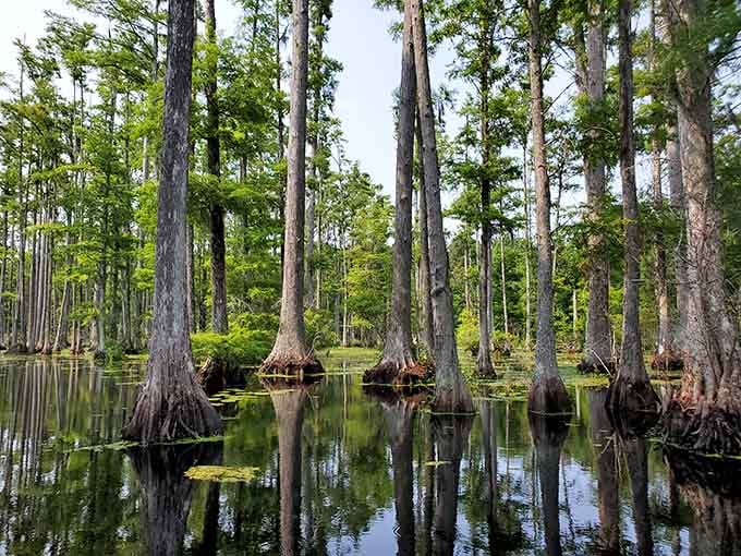 Those mirror-perfect reflections aren't a filter. Mother Nature just shows off like that sometimes.