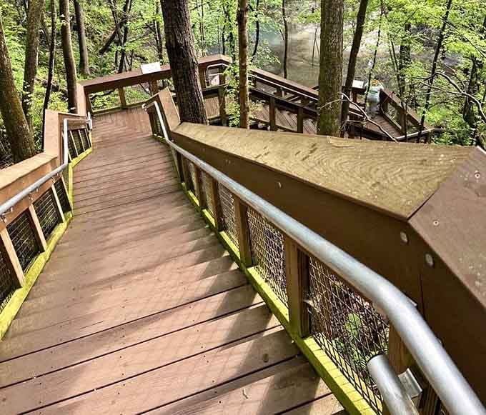 The boardwalk zigzags down into the sinkhole like nature's own staircase to somewhere extraordinary.