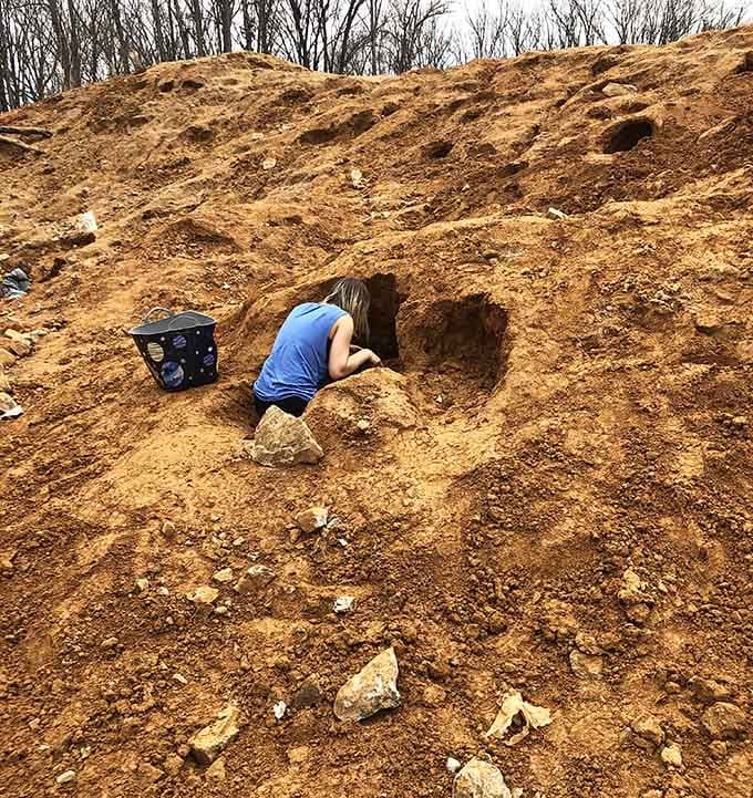 When the earth says "dig here," you listen. Pure childhood joy, no batteries required.