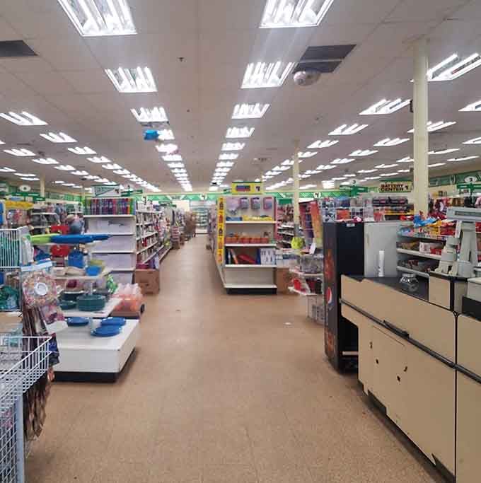 Aisle after aisle of possibilities stretching into the distance, like a bargain hunter's version of the yellow brick road.