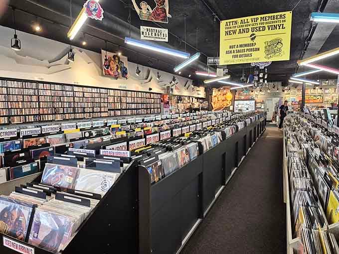 Row after row of vinyl treasures, organized and waiting. This is what a music lover's happy place looks like.