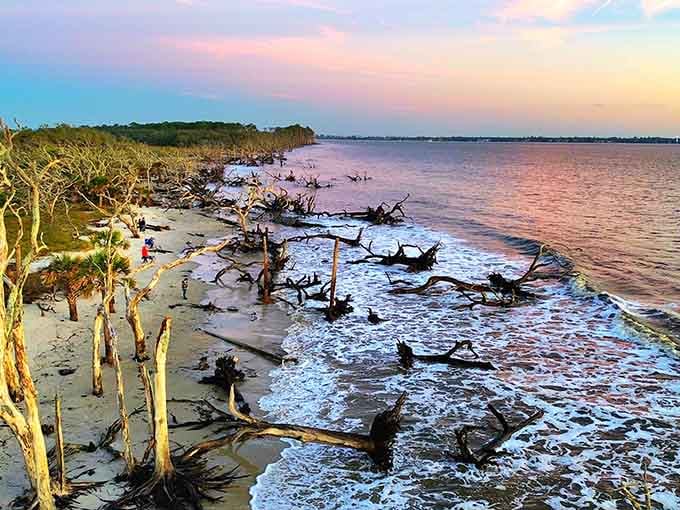 From up here, Driftwood Beach looks like a dream someone forgot to wake up from.