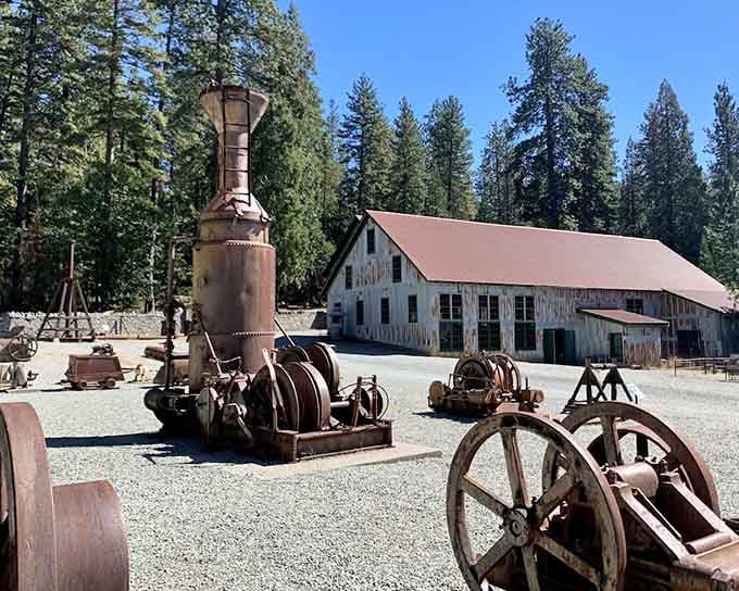 Rusty, massive, and magnificent. These machines once powered California's greatest gold rush dream.