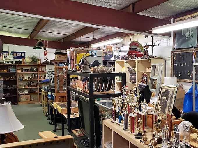 Trophies, frames, and mysterious vintage finds create a collector's paradise that demands closer inspection.
