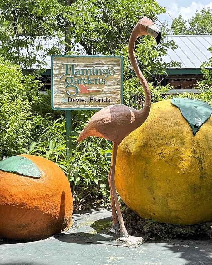 Giant citrus sculptures and a flamingo statue greet you at the gate, setting the tone perfectly.