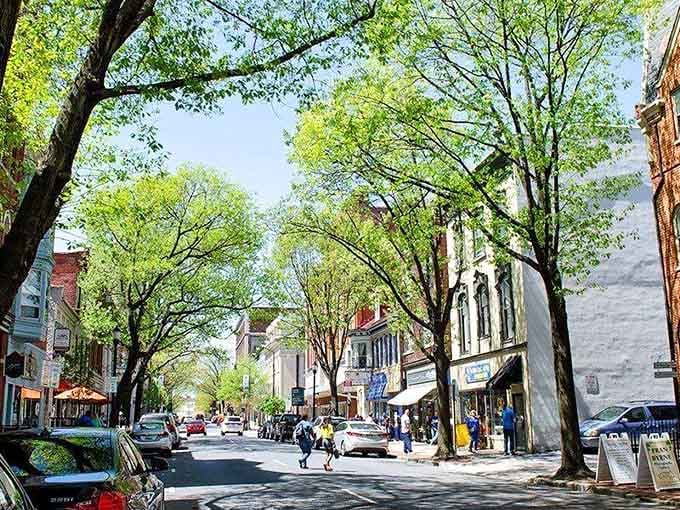 Tree-lined streets where the buildings have more character than most people's entire personality, honestly.