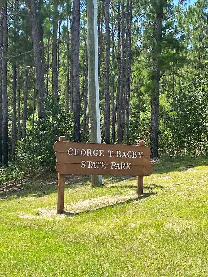 This Underrated State Park In A Tiny Georgia Town Is Pure Magic And You ...
