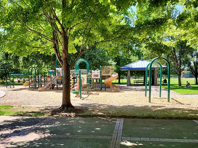 Reinhart Volunteer Park's shaded playground is where summer memories get made, no screen required.