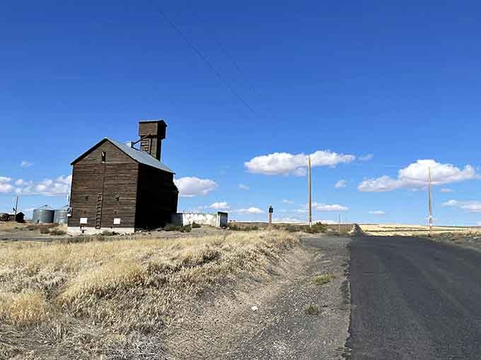 That old grain elevator has seen things. Standing guard over Gravity Hill like it knows the secret.