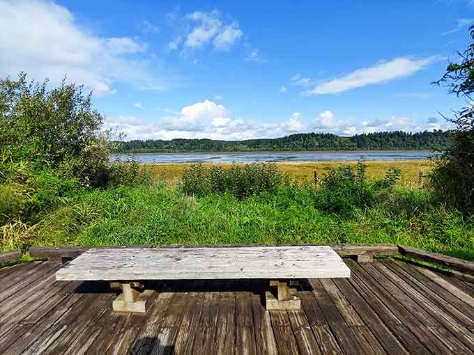 Pull up a bench and watch the greatest show on earth: thousands of migrating birds doing their thing.