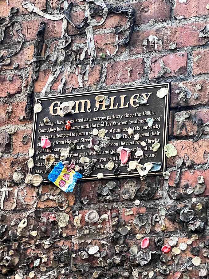 The official plaque at Gum Alley tells the whole sticky story, and somehow it makes you love this place even more.