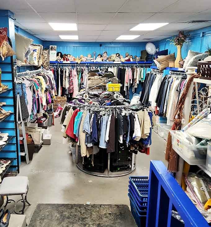 Rack after rack of colorful clothing lines these bold blue walls, making every visit feel like a fresh wardrobe lottery.