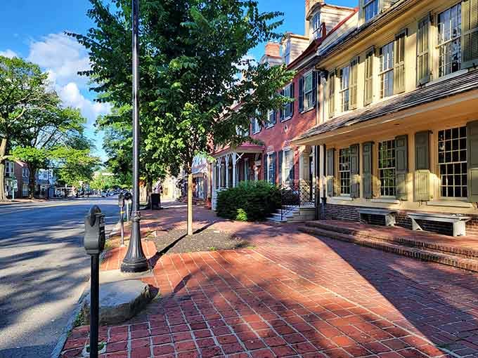 Morning light hits Kings Highway just right, turning an ordinary stroll into something worth writing home about.
