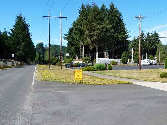 A quiet road lined with towering pines and a cheerful yellow roadside sign that practically waves hello at you.