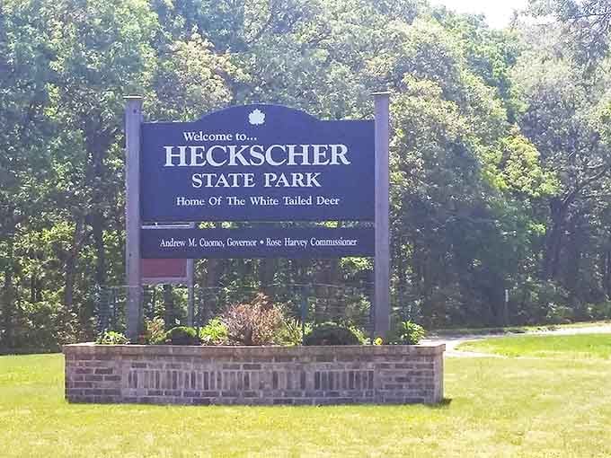 The sign says "Home of the White Tailed Deer," which is honestly better than most welcome messages you'll ever receive.