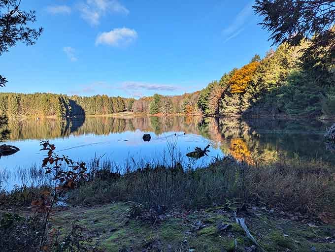 The kind of reflection that makes you stop, stare, and completely forget what you were worried about.
