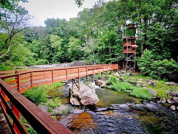 Where wooden footbridges span babbling creeks and towering treehouses peek through the canopy like childhood dreams come true.