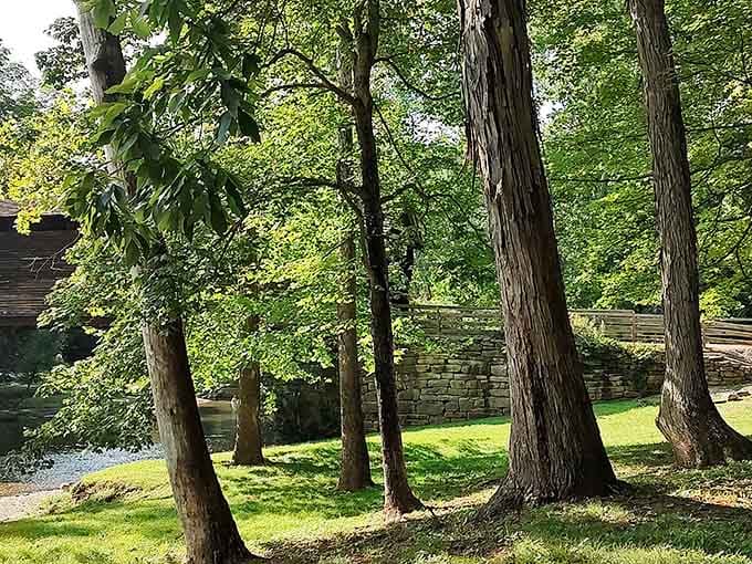 Sunlight filters through towering trees, framing stone walls and creek water in a scene almost too peaceful to be real.