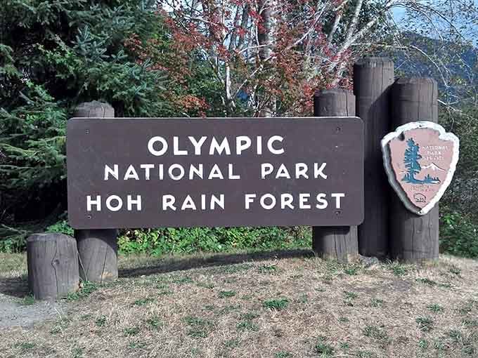 That wooden sign isn't just marking an entrance; it's announcing one of the most extraordinary places on Earth.