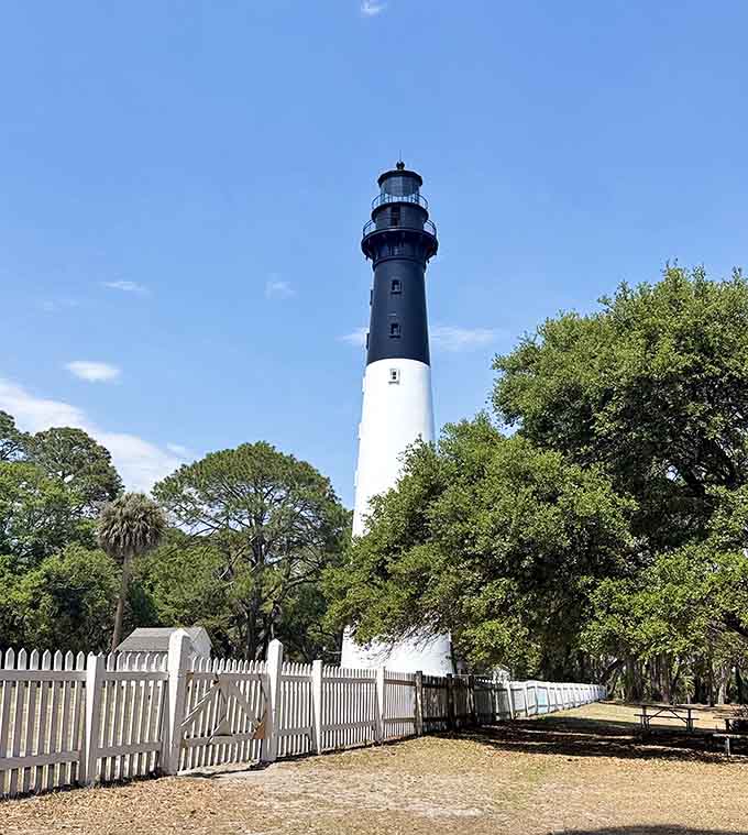 One hundred and thirty-six feet of cast iron ambition, rising above the Lowcountry like it owns the place.