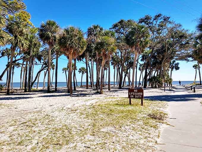 Forget expensive resorts&mdash;these palmettos and that pristine beach are waiting just a short drive away.