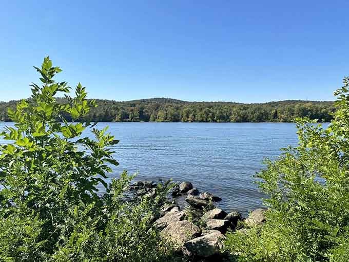 That wide open river view that makes you forget you had seventeen things on your to-do list today.