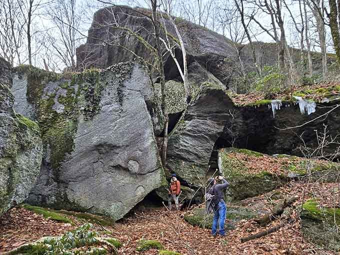 Moss, mystery, and mountains of rock. This is what happens when nature decides to show off for a few thousand years.