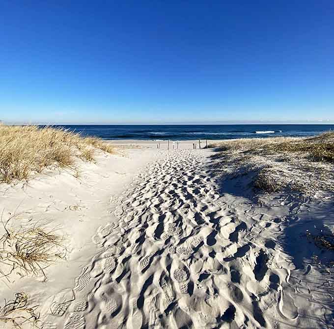 Sandy pathways through the dunes lead to paradise, like following the yellow brick road to ocean heaven.