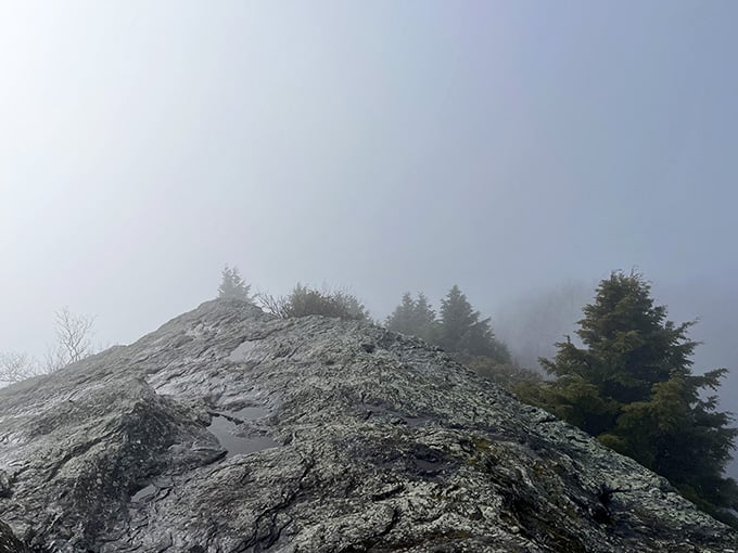 When the mountain decides to wear a cloud like a hat, you just have to respect it.