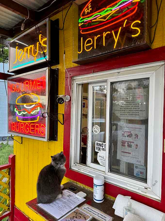 That order window at Jerry's Gourmet Burgers is where burger dreams come true, one order at a time.