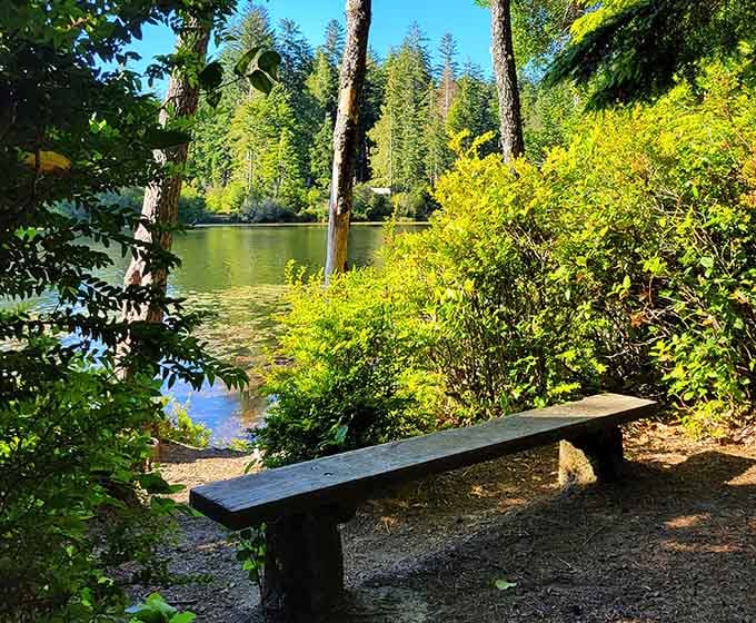 This lakeside bench isn't just a seat. It's an invitation to slow down and breathe.