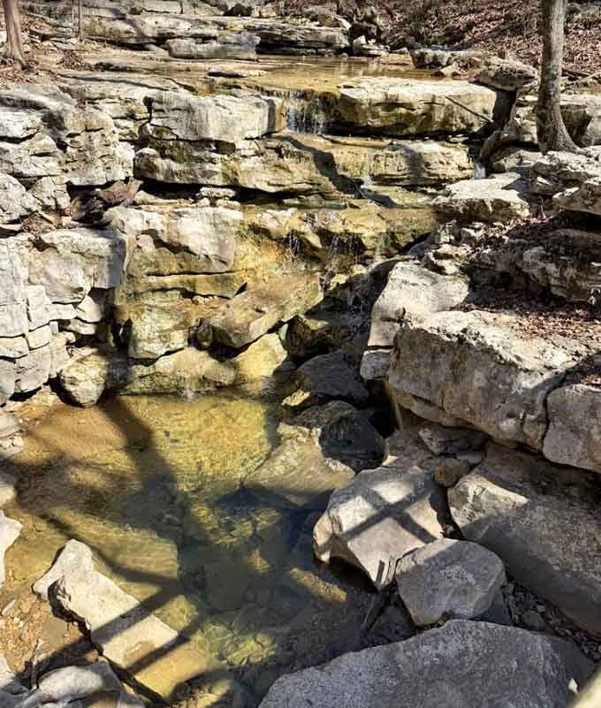 Ancient limestone layers stacked like geological pancakes, each one telling stories from when dinosaurs ruled the neighborhood.