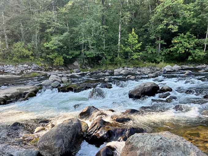 The Green River doesn't ask for your opinion. It just roars through, magnificent and completely unbothered.