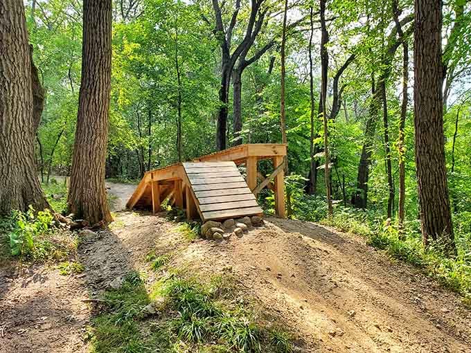 This handcrafted wooden ramp proves that good things really do grow on trees, sometimes with power tools.