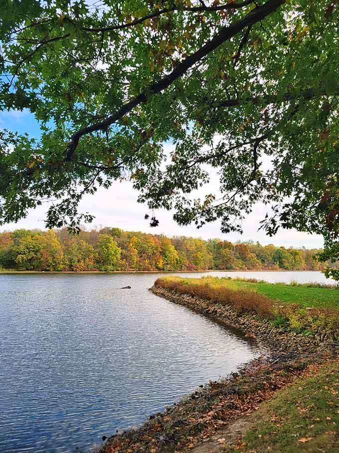 Autumn arrives like an uninvited guest who turns out to be the life of the party, painting every shoreline gold.