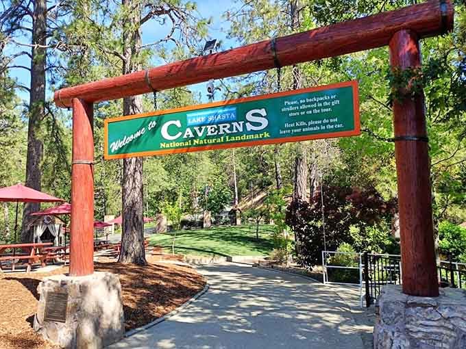 The welcome sign sets the tone perfectly. You're not just visiting a cave; you're entering a landmark.